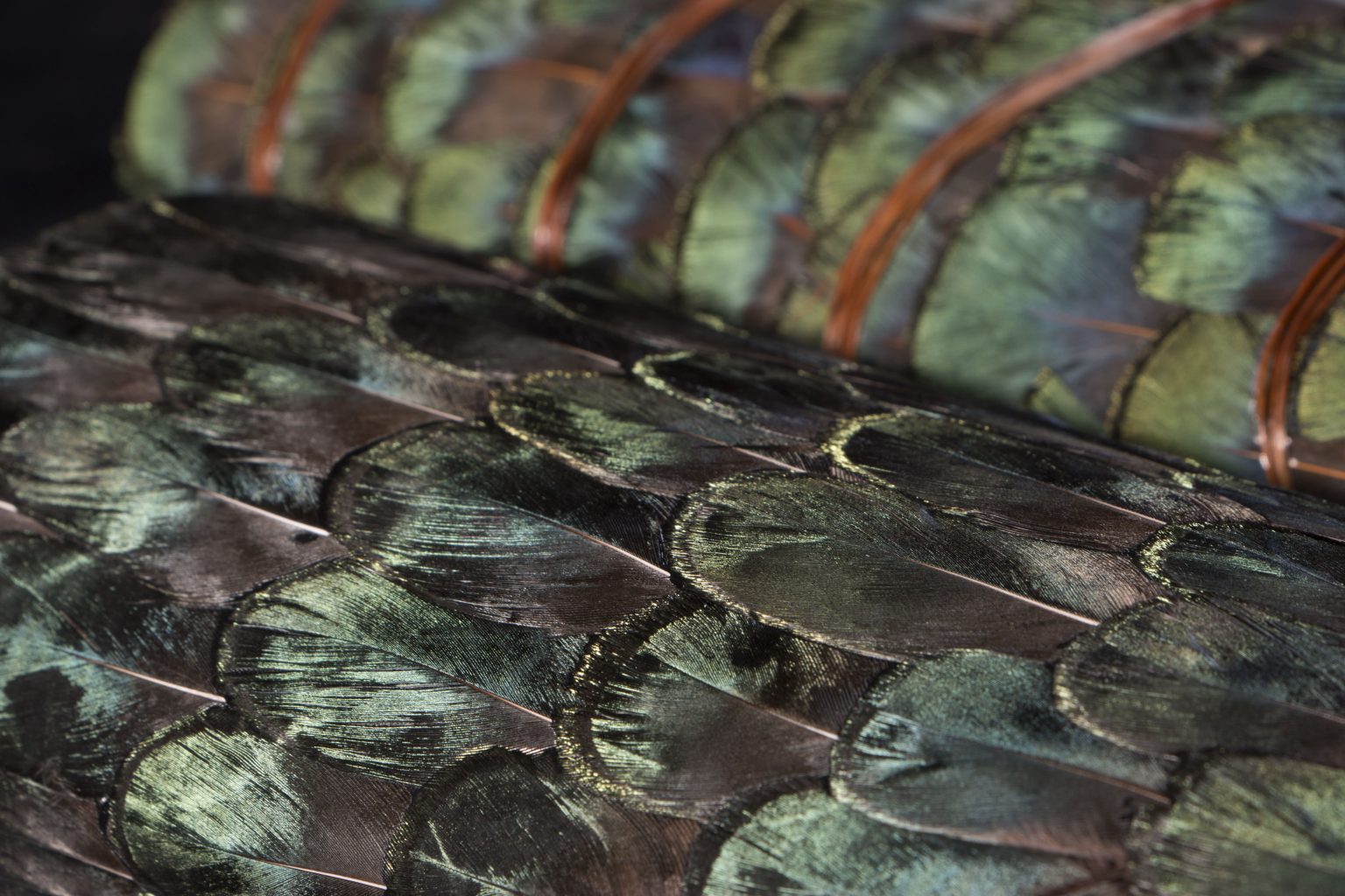 KOKET Launches Two New Wallpaper Designs - KK News